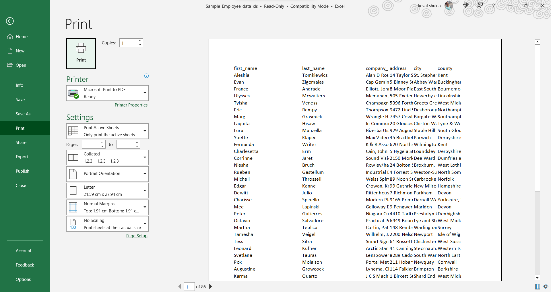 Print Preview Shortcut Key On Windows How To Use In MS Excel Word And